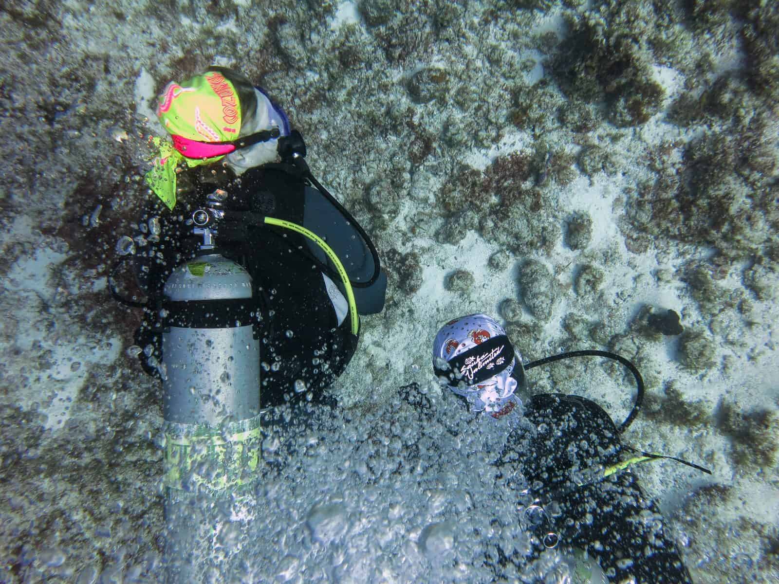 Diving Cozumel – Dishers.com